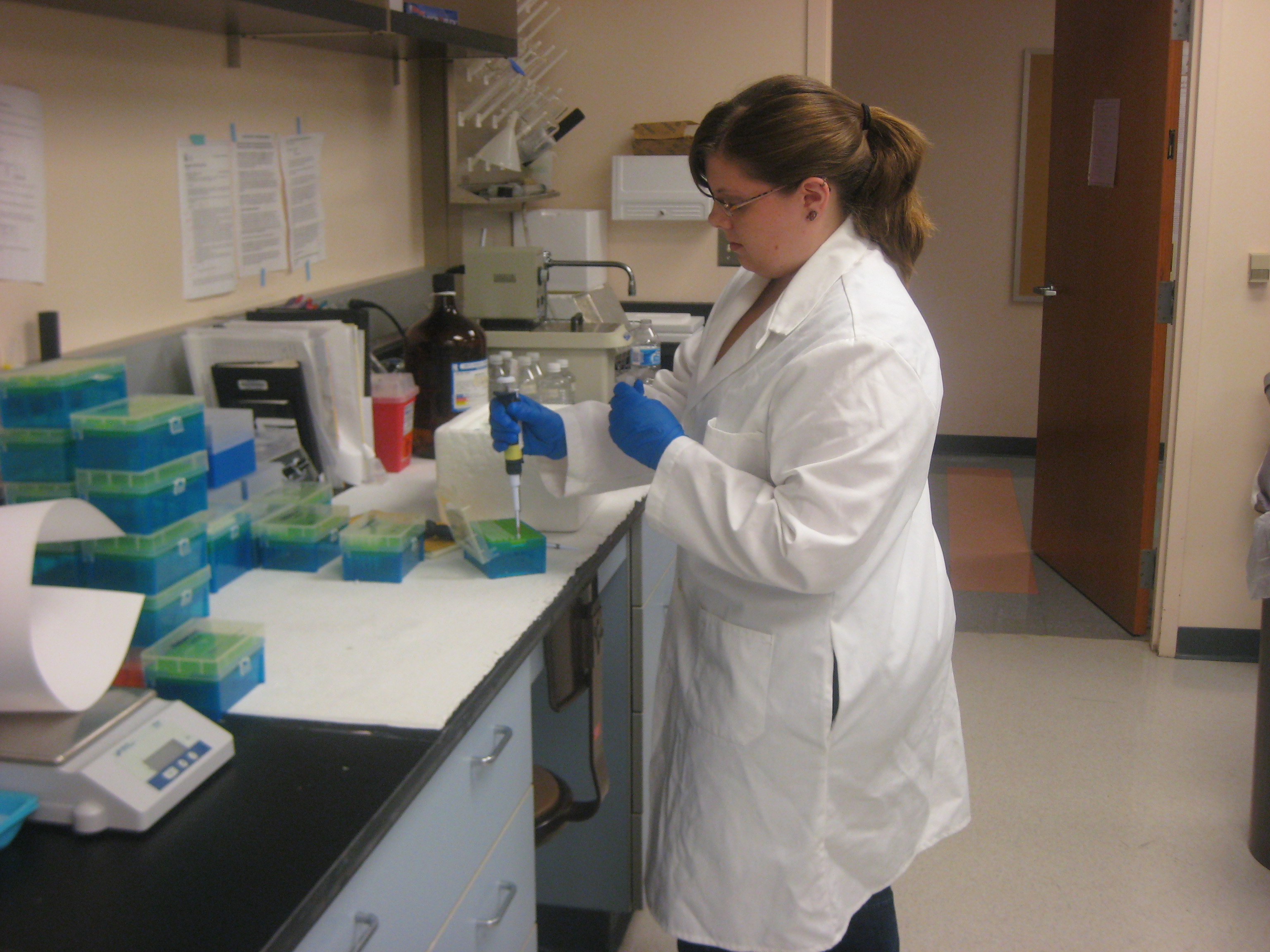 People and Study Animals | Ibrahim Lab - Research